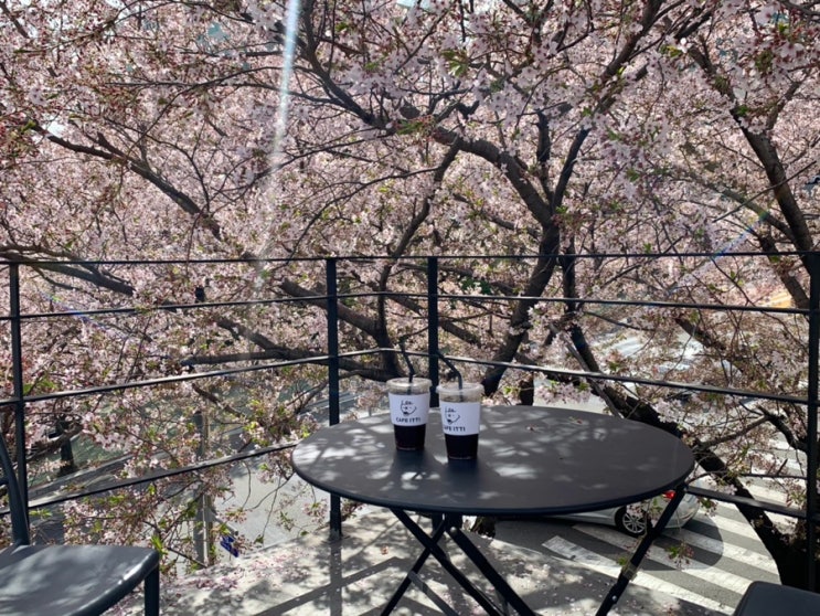 부산/냉정/동서대 | 벚꽃 뷰 루프탑 카페 이띠 CAFE ITTI : 네이버 블로그