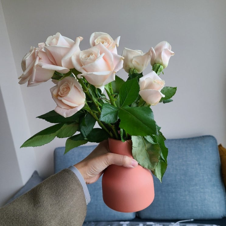 라라랜드공기업 비서합격실화💐 신용보증기금 임원비서 합격후기특정업무직비서비서로 유리한 경력정규직비서파견직 경력공