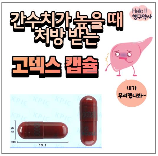 간수치가 높을 때 처방받는 간장약 고덱스캡슐고덱스캅셀에 대해 알아볼게요 네이버 블로그