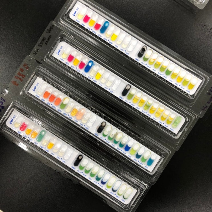 09. 식품현장에서 사용될 수 있는 간편한 미생물 키트 (피펫스왑, ATP, Readycult, API kit) : 네이버 블로그