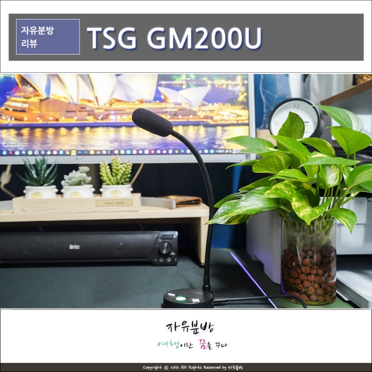 스탠드 마이크 추천, TSG GM200U 후기 : 네이버 블로그