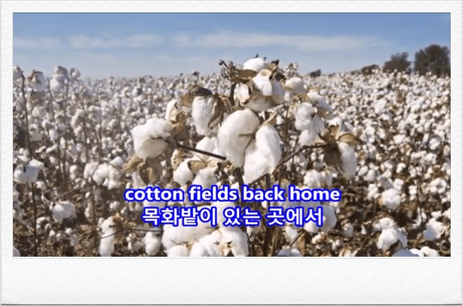 카튼 필드 Cotton Fields(목화밭) - The Highwaymen(하이웨이 멘)|| 가사번역 : 네이버 블로그