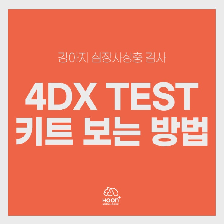 강아지 심장사상충 검사 SNAP 4DX 테스트 키트 보는 방법 : 네이버 블로그