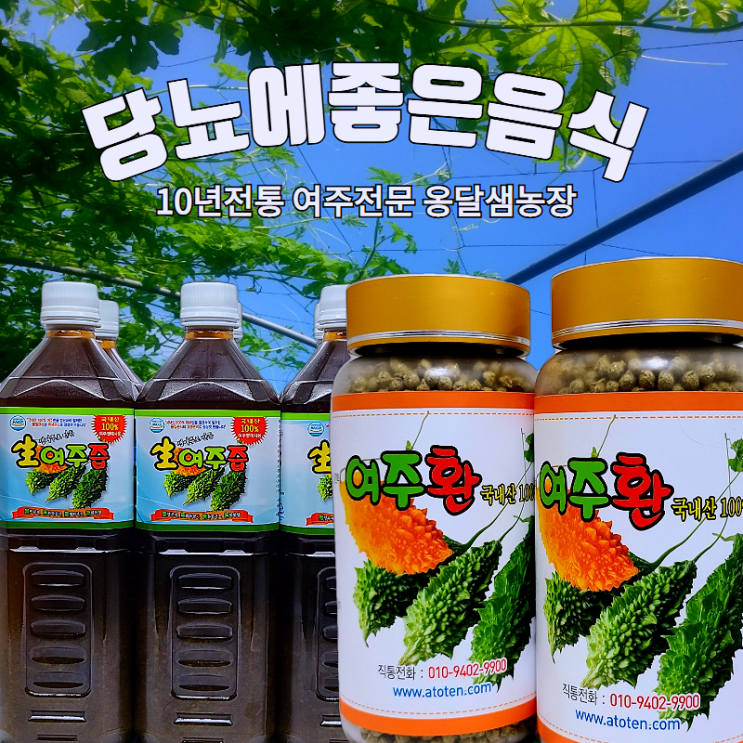 여주즙 여주환 여주분말 가루 차 판매 네이버 블로그