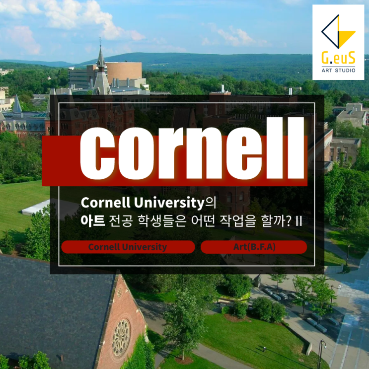 [외국미대 작품분석] Cornell University - Art 전공 - 대학생 작품소개 (코넬 - 아트(종합 예술 ...