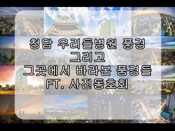 청담 우리들병원 풍경 그리고 그곳에서 바라본 풍경들 서울 척추관협착증 허리디스크 척추전문병원 네이버 블로그
