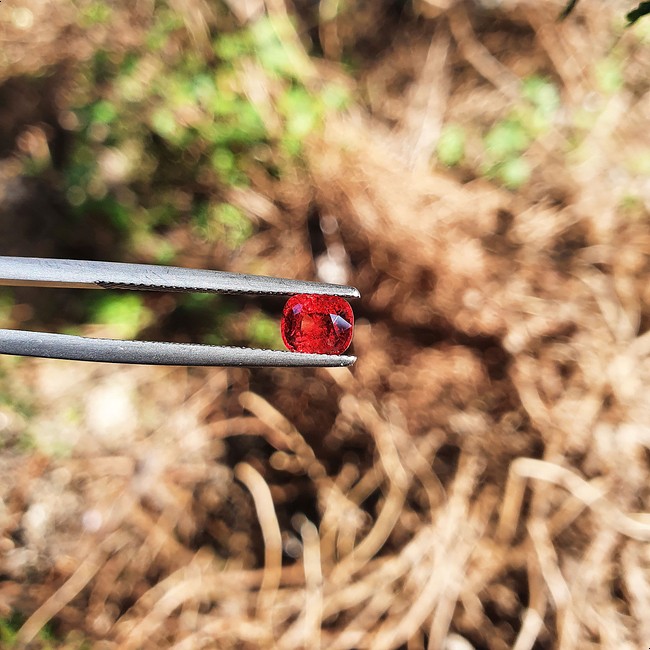 오렌지 제다이 스피넬 1피스 판매합니다. : 네이버 블로그