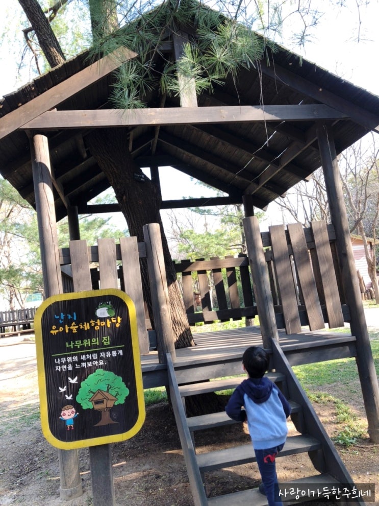 123 산악문화체험센터 난지유아숲체험장 네이버 블로그