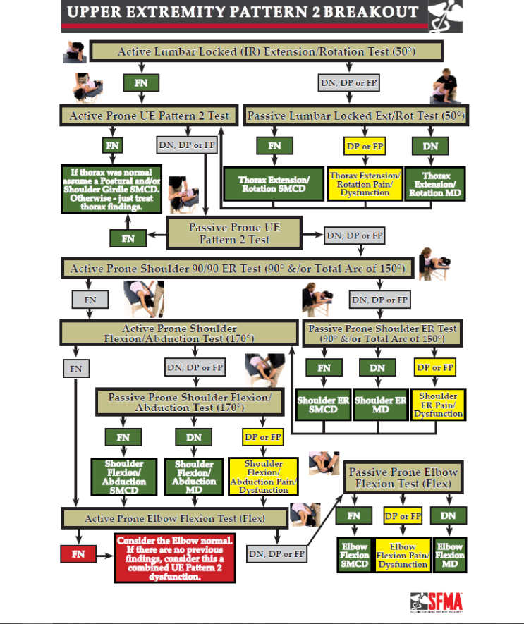 [SFMA] SFMA 상지의 Pattern 2하위 검사 - 1. Active lumbar locked test[출처] [SFMA ...