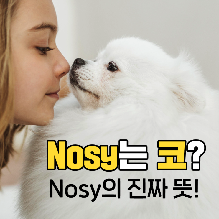 기초영어 Nosy 뜻, 코가 아니라고?? 오지랖퍼 두두등장 : 네이버 블로그