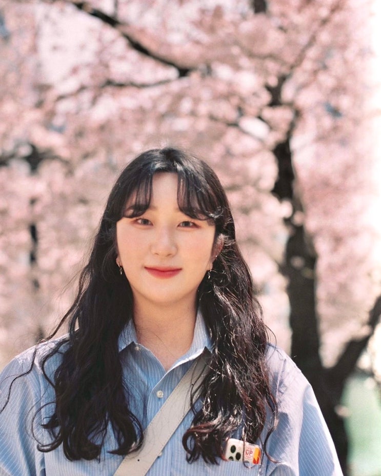 꽃 피는 봄이 오면, (벚꽃 필름스냅, 2021) : 네이버 블로그