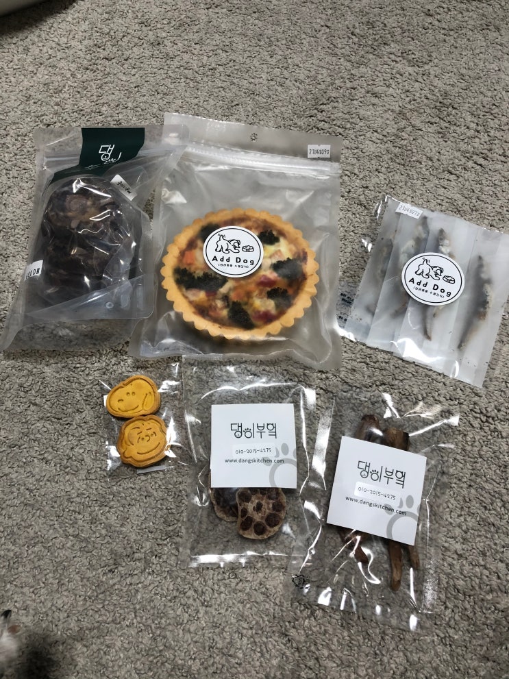 말티즈생일파티 정말 즐거웠어요 : 네이버 블로그