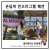 손담비 인스타그램 숄더백 사복 패션 가방 코디 드파운드 쇼퍼백 네이버 블로그