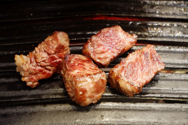 동대문역사문화공원역 맛집 숙성고기점문점 고기온 역대급 네이버 블로그