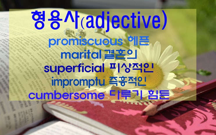 토익에 나올 영단어 형용사(adjective)promiscuous,marital,superficial,impromptu ...