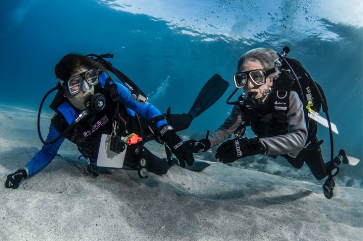 이런 고별사 4 Dr. Eugenie Clark : 네이버 블로그