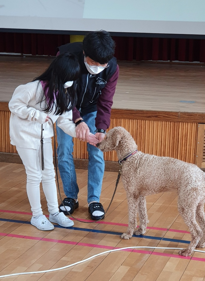 초등학교 진로체험보령 천북초등학교 생생 직업체험 With 한국미래진로센터 네이버 블로그