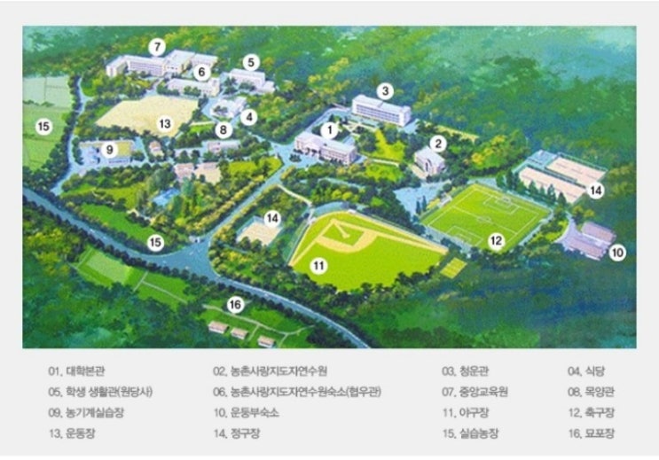 코탑 정기전 시합강서마곡양천여의도성남분당위례판교고양상암합정마포도봉의정부노원성북강동송파하남