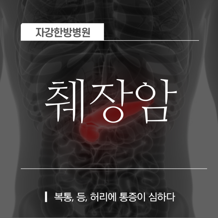 췌장암 초기증상 등통증 위험요인 검사방법 및 치료법 좋은음식은 네이버 블로그