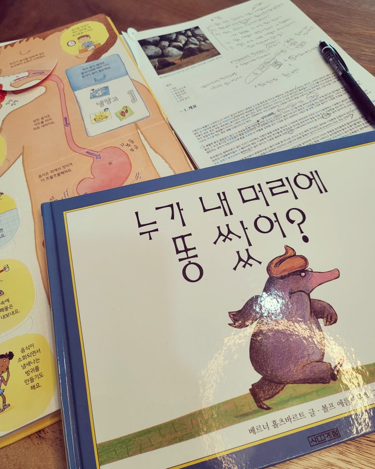 마음챙김책놀이1 누가 내 머리에 똥쌌어의성어똥이해하기오감발달 네이버 블로그