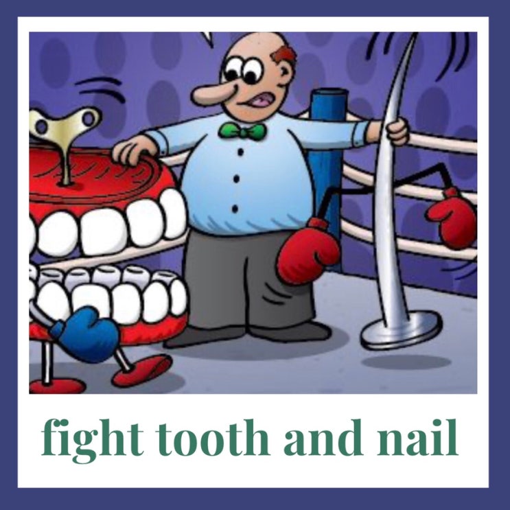 fight tooth and nail/ 필사적으로 싸우다, 노력하다 : 네이버 블로그