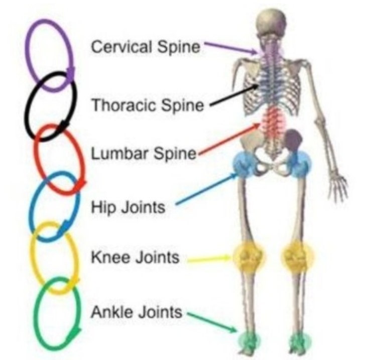 Open Kinetic Chain Exercise(OKCE) & Closed Kinetic Chain Exercise(CKCE ...