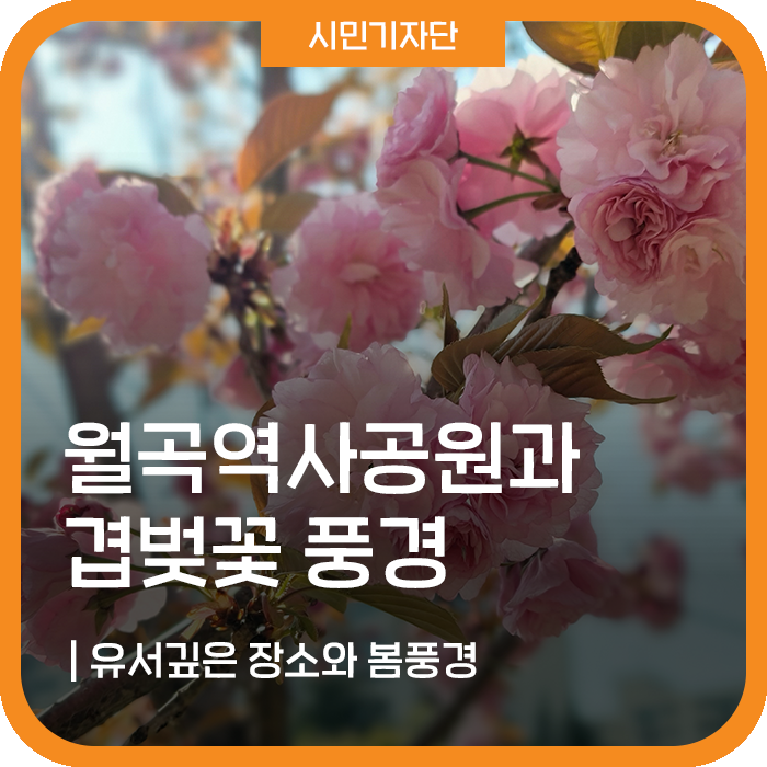대구 가볼 만한 곳 월곡역사공원과 겹벚꽃 풍경 감상하고 왔어요 네이버 블로그