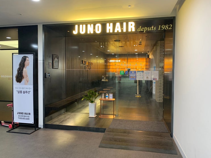 송도미용실 준오헤어 센트럴파크점 한민지쌤 께 매트브라운으로 염색한 후기 네이버 블로그