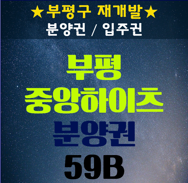 한마음 재건축 부평중앙하이츠프리미어 59B 타입 분양권 전매 매물! 19세대밖에 없는 타입! 드레스룸이 둘!! : 네이버 블로그