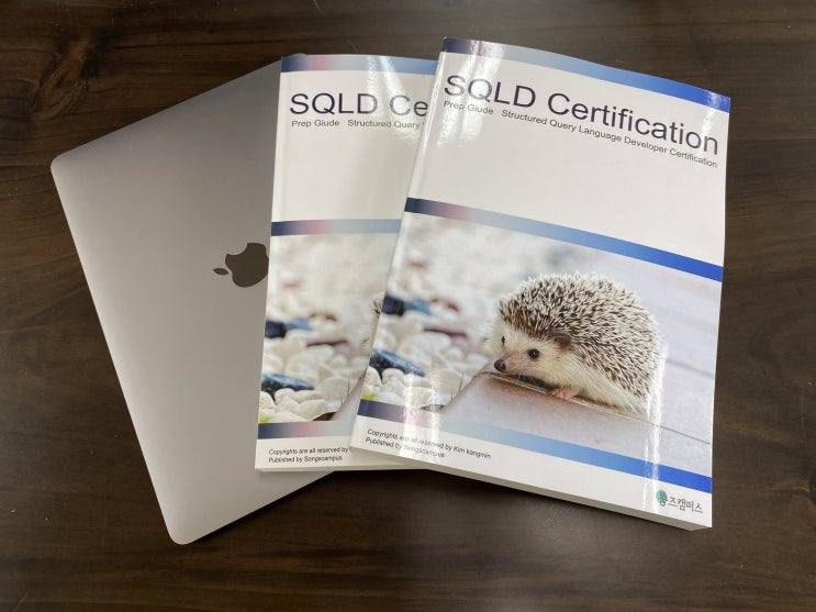 SQLD인강 : SQLD시험 간단하게 준비하기 : 네이버 블로그