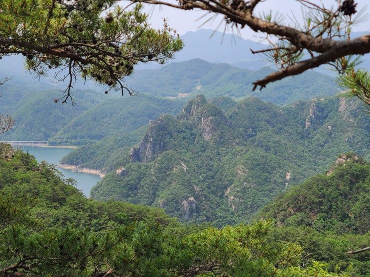 제천역(堤川驛) Ⅳ : 네이버 블로그