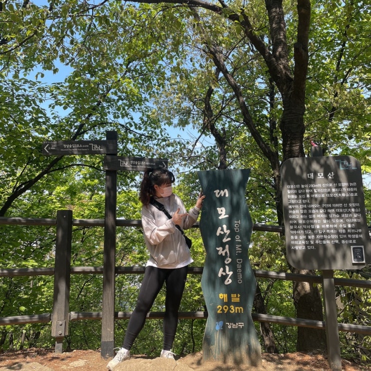 대모산구룡산 등산코스 수서역 대모산 정상 구룡산 정산 용오름다리 네이버 블로그