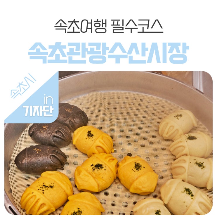 속초여행 필수코스 속초관광수산시장 네이버 블로그