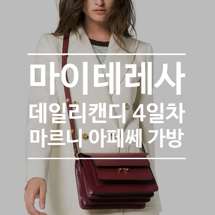 마이테레사 데일리캔디 30 세일 4일차 마르니 트렁크백 아페쎄 제네바 지미추 펌프스 네이버 블로그