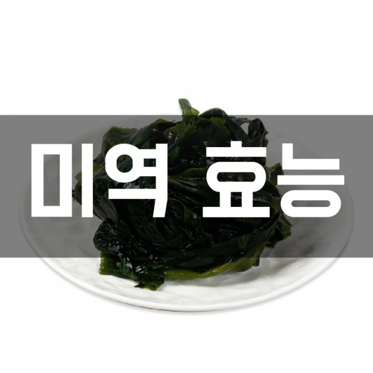 미역 효능과 칼로리는 미역과 파는 최악의궁합 왜 네이버 블로그