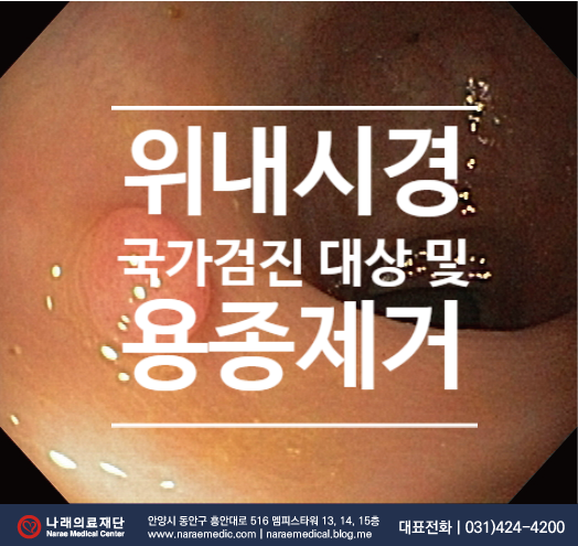 위내시경 국가검진 대상 및 위암 위험군 검사 주기 및 용종제거 네이버 블로그