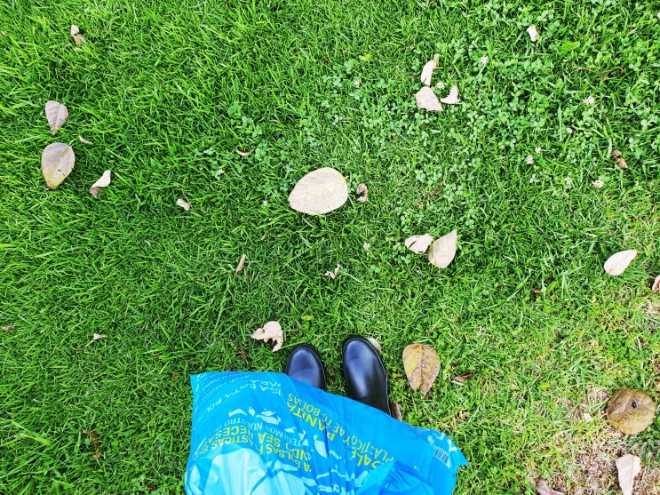 #안녕나무씨 #HellOTreeS #인공지능스마트팜 #로봇 #나무대중화 #글로벌조달전문브랜드패밀리기업 #미국연방조달기업 #유럽 ...