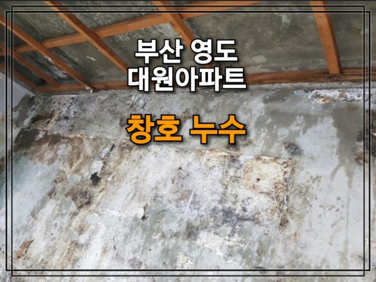 부산 영도 대원 아파트 창호 누수로 인한 외벽 방수작업 및 내방수 작업 내벽부위 윗집 천정 욕실 누수로 인한 벽체 곰팡이