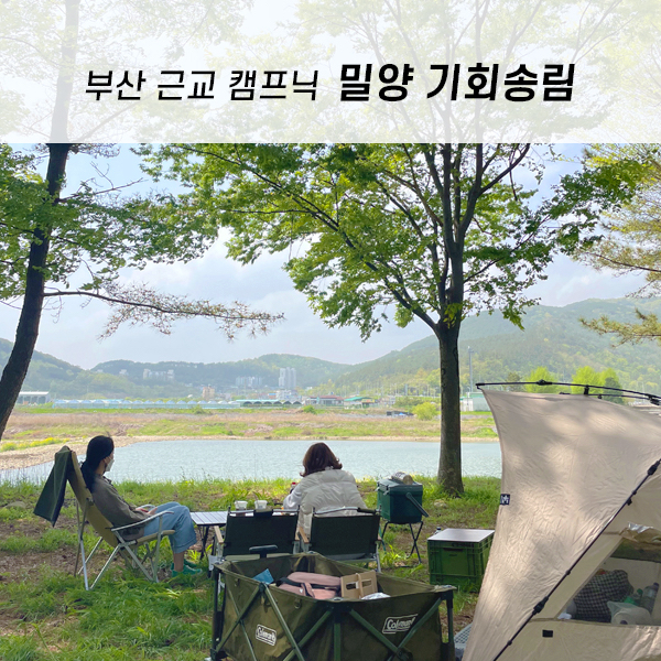 캠프닉 하기 좋은 부산 근교 캠핑장 밀양 기회송림 야영장 네이버 블로그