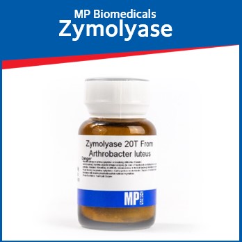 Zymolyase - Yeast Lytic Enzyme : 네이버 블로그
