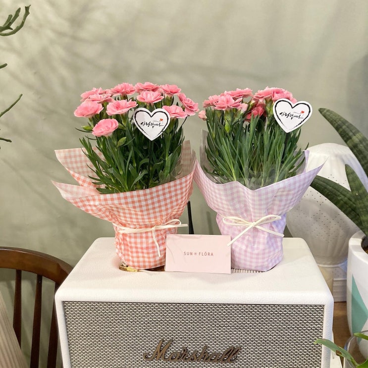 보라매역꽃집 썬플로라어버이날 상품안내 ♥대방시장꽃집공군회관해군회관대방동신길동서울지방병무청꽃집보라매꽃집신림꽃집