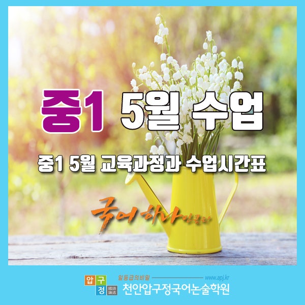 중1 5월 수업 안내 중학교 국어 개념 완성단계 중1 국어는 불당동국어학원 천안압구정국어 네이버 블로그