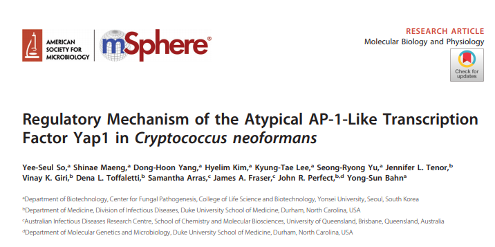 002 : 네이버 블로그