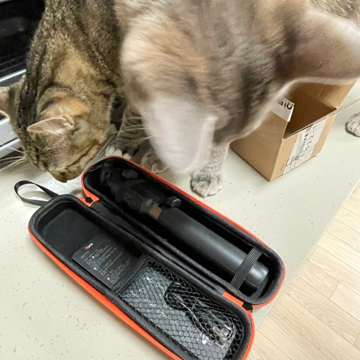 살구즈 고양이 영상 찍는 방법 _루이트 RT-645B PLUS 셀카봉 삼각대😺 : 네이버 블로그