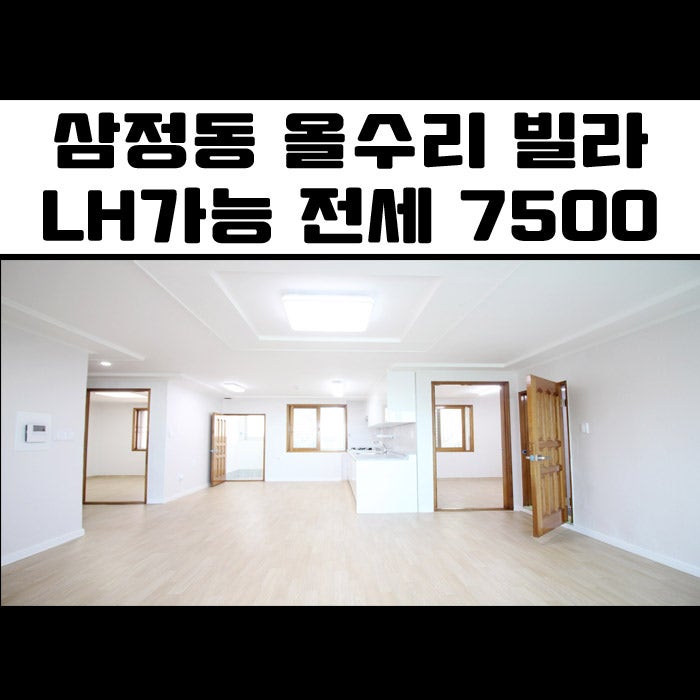 김해 Lh 전세 임대 대출 가능 올수리 후 첫입주 빌라 삼정동 활천고개사거리 방3화2 Lh 신혼부부 한부모 대학생 청년 기초