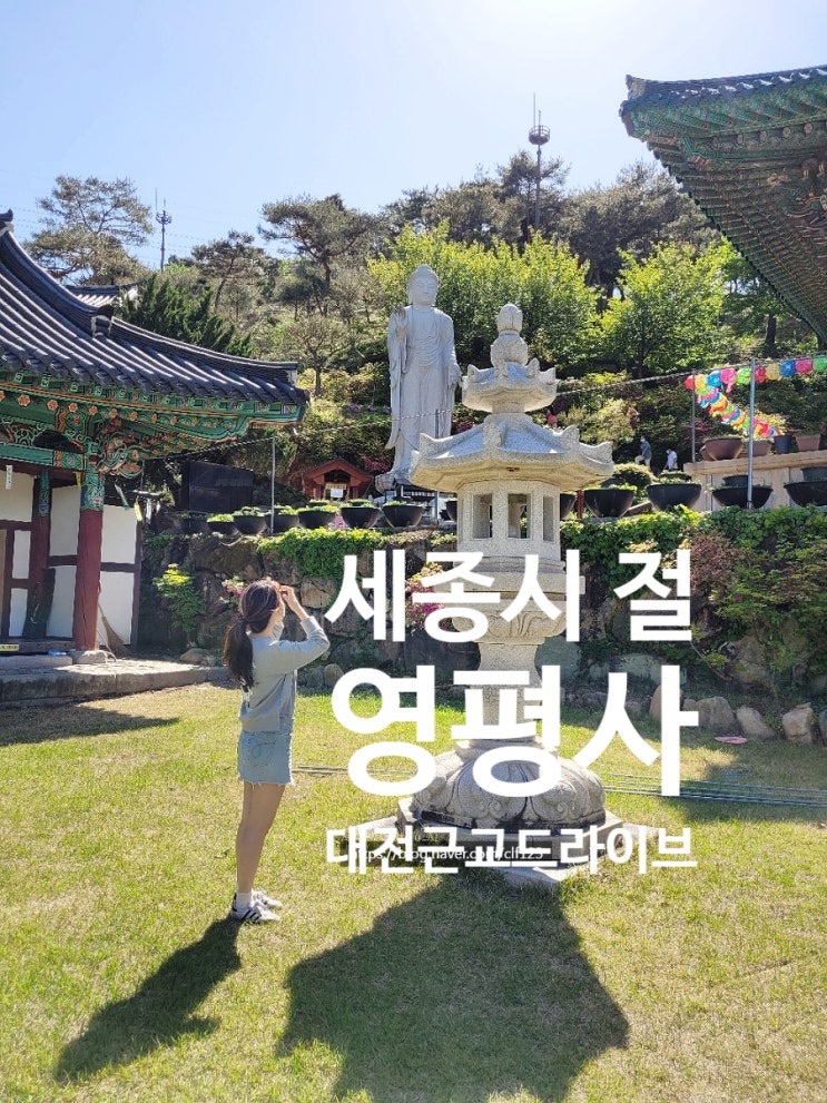 대전근교데이트 세종 영평사에서 산책하기 네이버 블로그