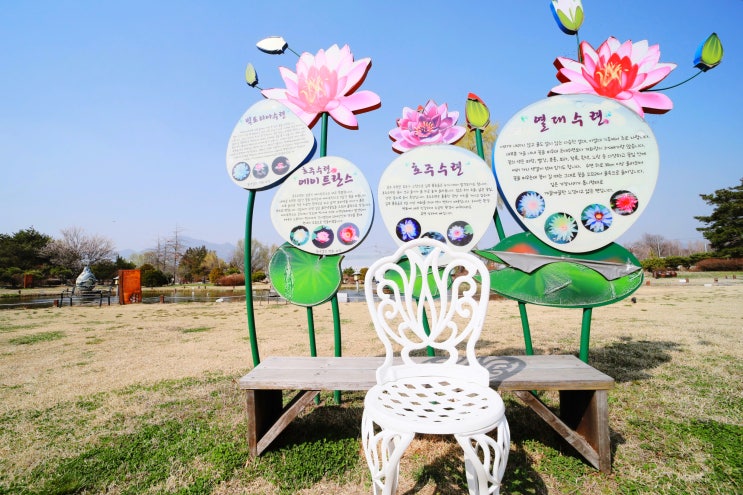 양평 여행 세미원 요즘 가볼만한곳 볼거리 및 데이트 코스 Best8 네이버 블로그