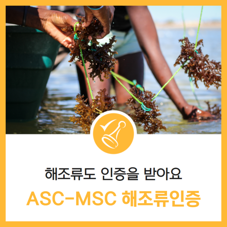 ASC-MSC 해조류인증에 대해 알려드립니다. : 네이버 블로그