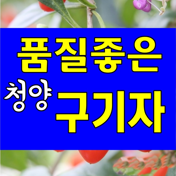 건구기자차 효능과 궁합좋게 끓이는법 구기자 분말 가루 먹는법 네이버 블로그
