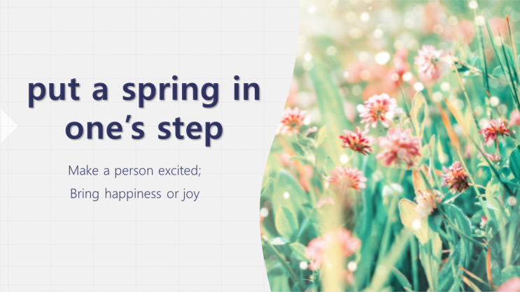 a spring in one's step : 네이버 블로그